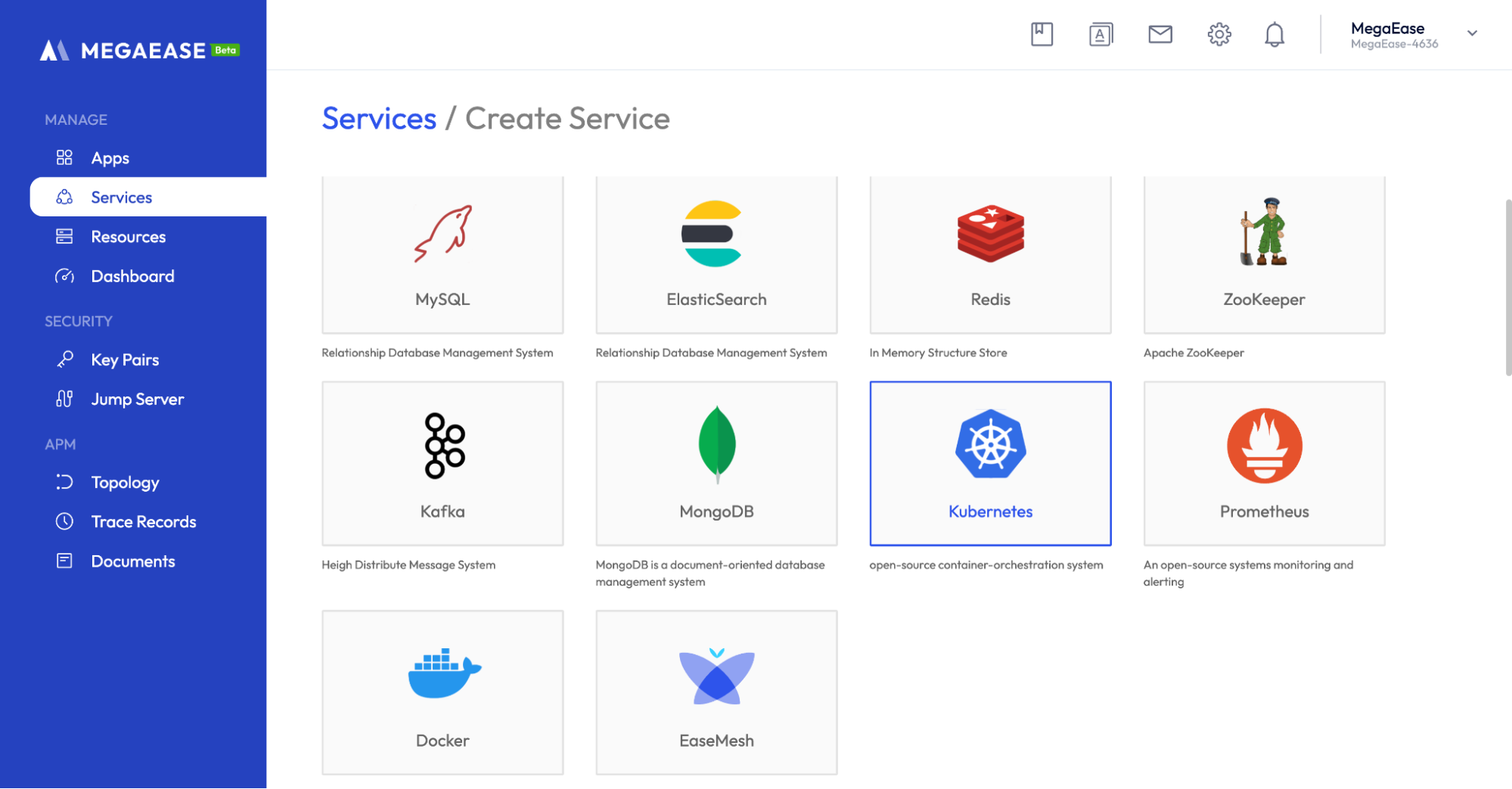 MegaEase Cloud 用户手册 - Kubernetes 应用
